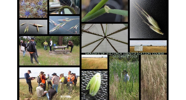 Biosphere Pty Ltd Training Page